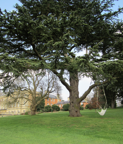 CB300 Nuneham Courtenay Park – Oxfordshire Gardens Trust